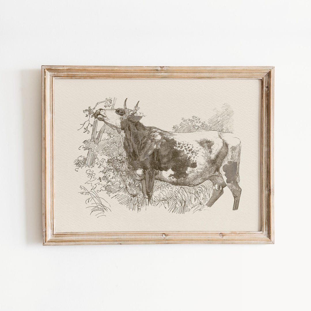 Cow Sketch Print - Vintage Farmhouse Wall Art, Rustic Country Decor ...