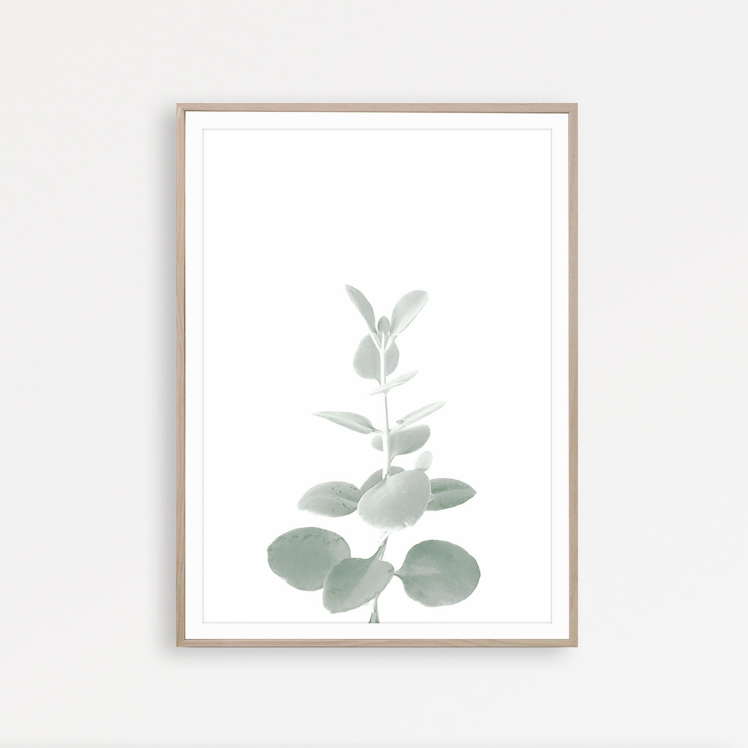 Eucalyptus Print Set of 3 Botanical Prints Mint Green Decor | Etsy