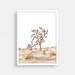Joshua Tree Print Boho Wall Decor California Desert Print - Etsy