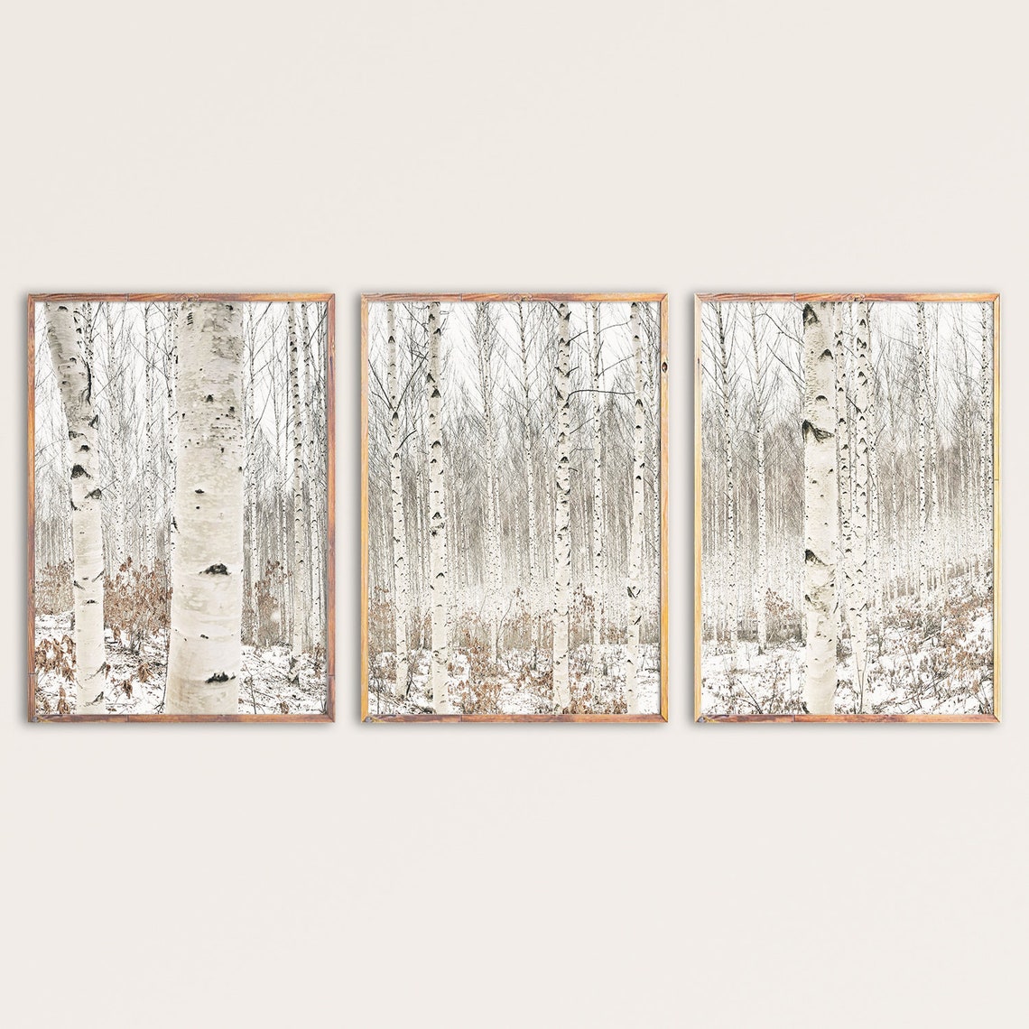 Birch Tree Wall Art Forest Print Set of 3 Posters Scandinavian - Etsy