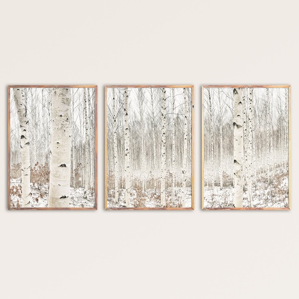 Birch Tree Wall Art - Etsy