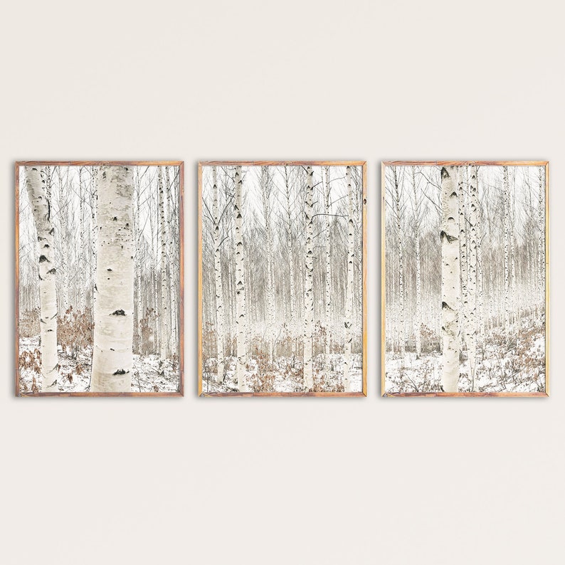 Birch Tree Wall Art Forest Print Set of 3 Posters Scandinavian - Etsy