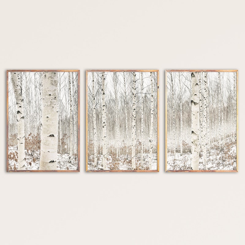 Birch Tree Wall Art - Etsy