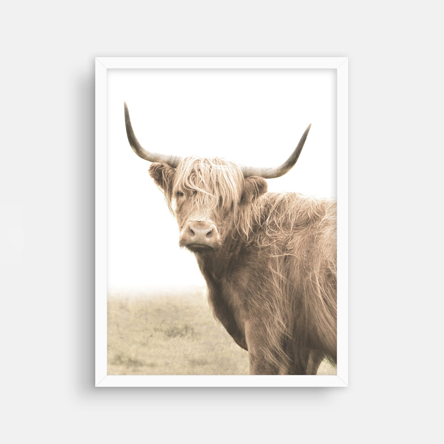 Highland Cow Print Farm Printable Farmhouse Decor Nordic | Etsy