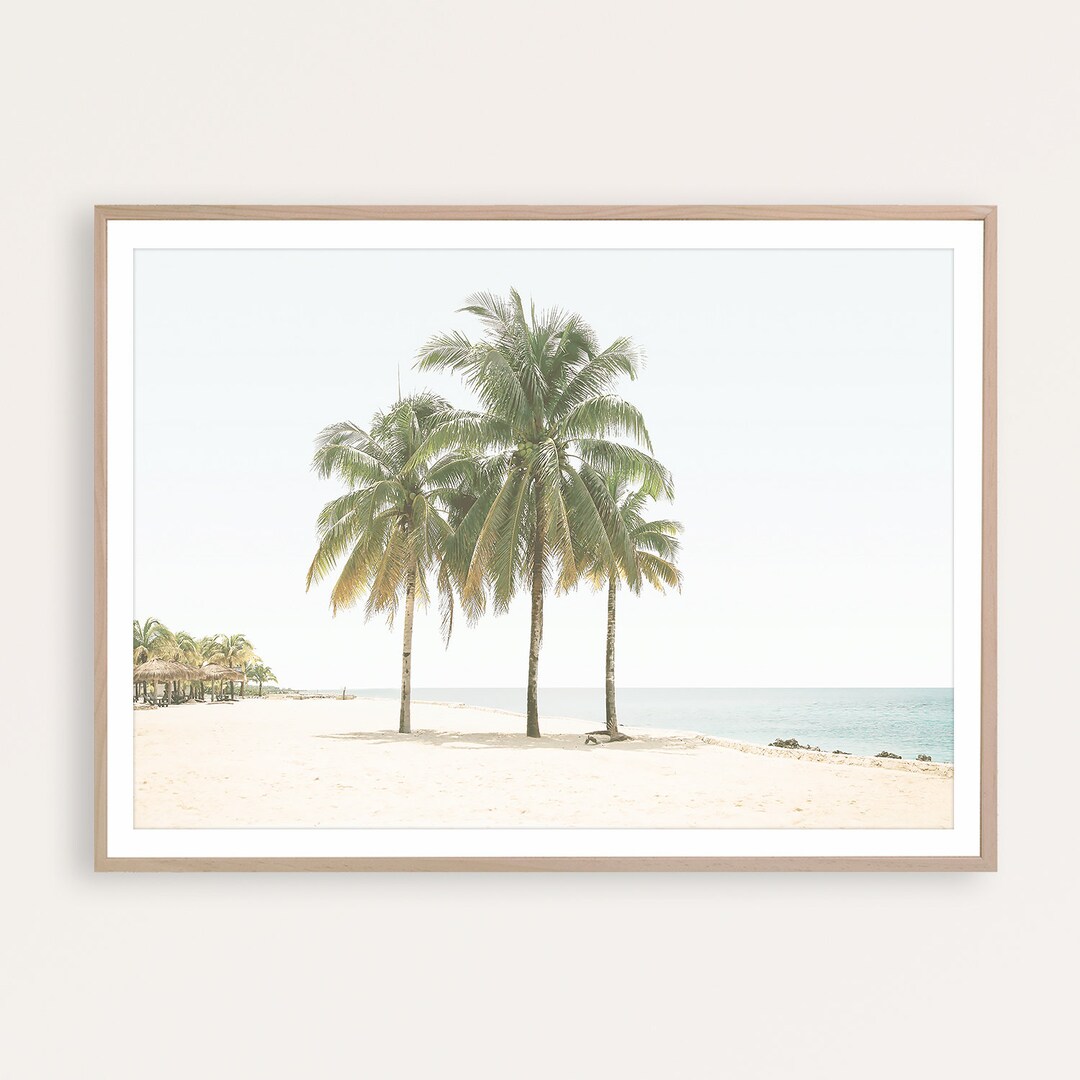Palm Tree Print Coastal Decor Beach Photography Beach Decor Wall Art ...