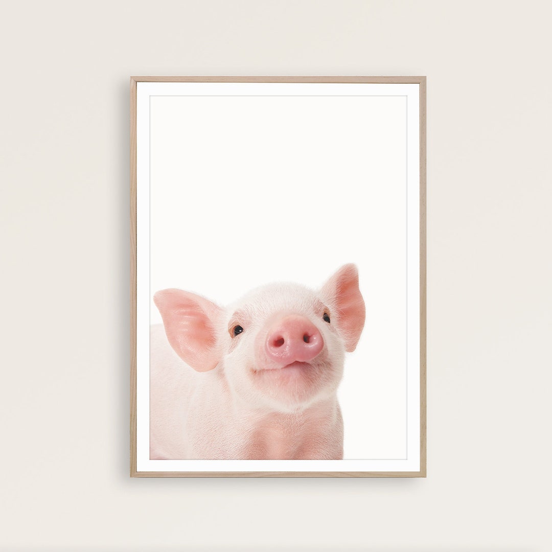 Pig Wall Art Farmhouse Decor Piglet Print Baby Pig Print Farm Animals ...