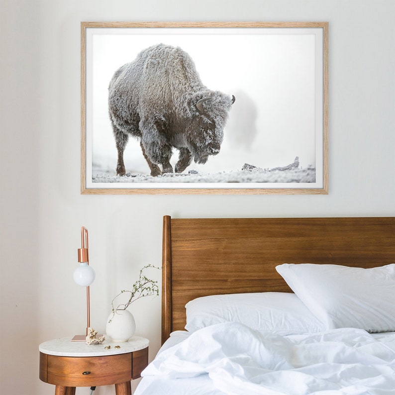 Bison Wall Art Wilderness Print Buffalo Print Farmhouse Wall | Etsy
