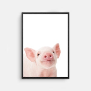 Pig Wall Art Farmhouse Decor Piglet Print Baby Pig Print Farm Animals ...