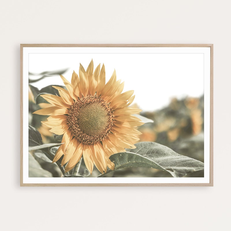 Sunflower Print - Etsy