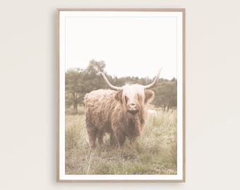 Farmhouse Decor Rustic Wall Art Highland Cow Printable | Etsy