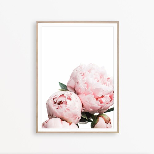 Peony Print Peonies Wall Art Blush Pastel Pink Pink Peony - Etsy