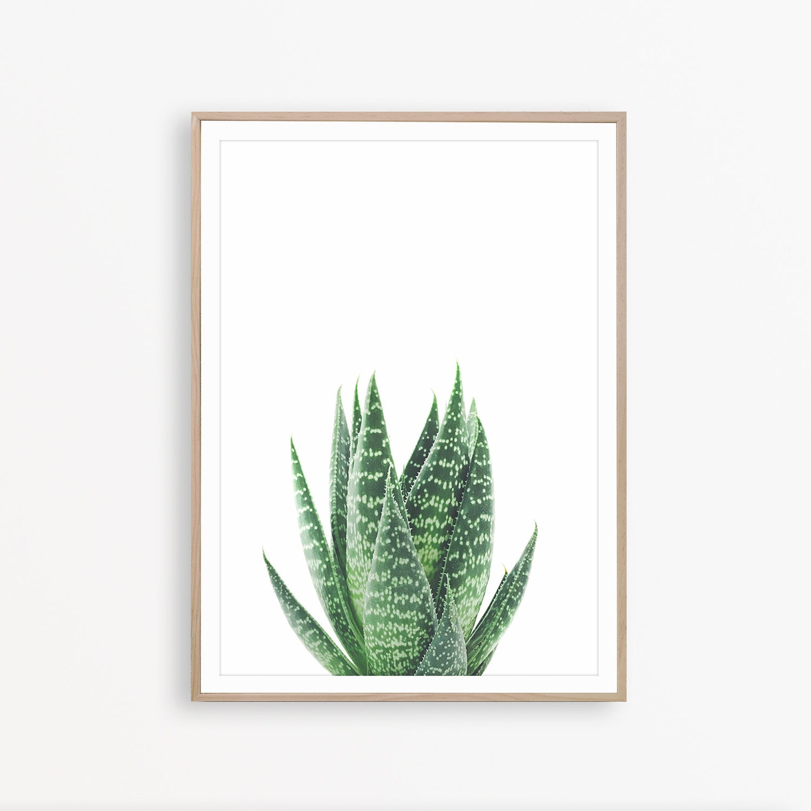 Aloe Vera Print Succulent Poster Wall Decor Cactus Print Plant - Etsy
