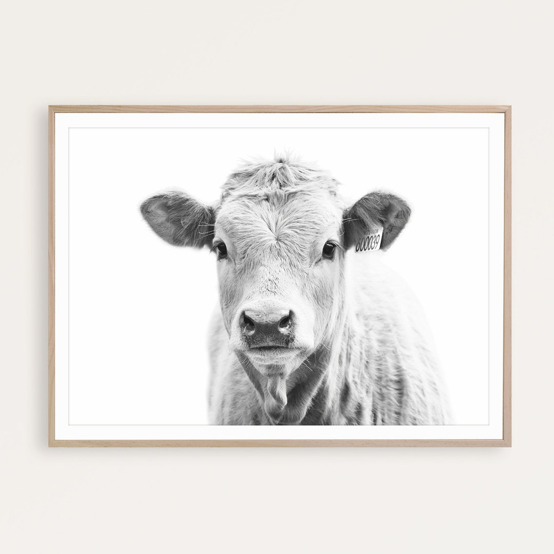 Cow Print Black and White Farmhouse Decor Cow Photography Country Art ...