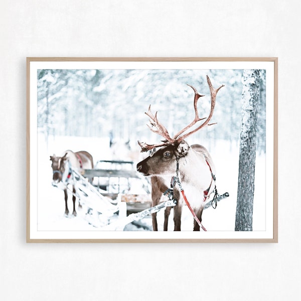 Reindeer Print - Etsy