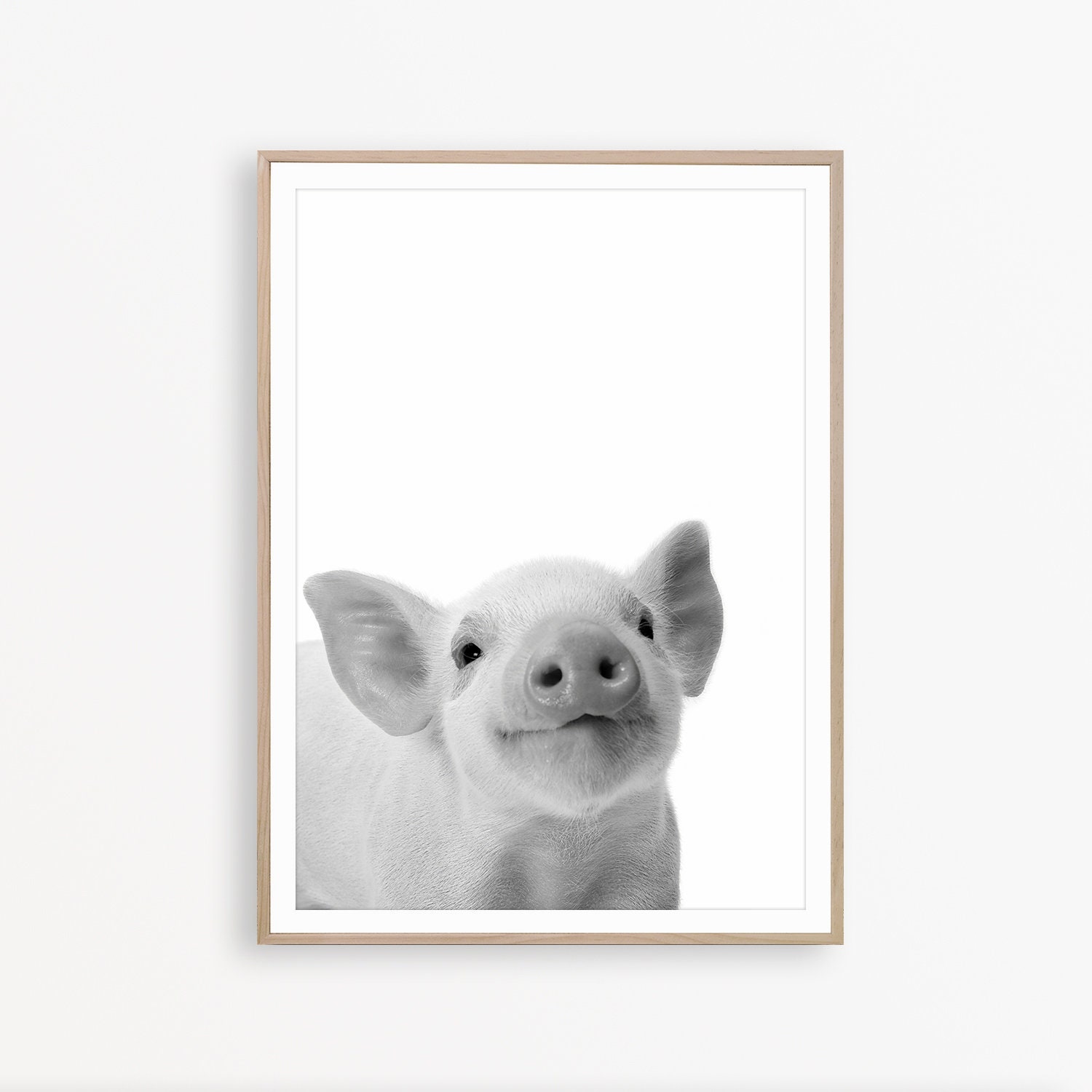 Pig Print Pig Wall Art Farmhouse Decor Piglet Print Baby Pig | Etsy