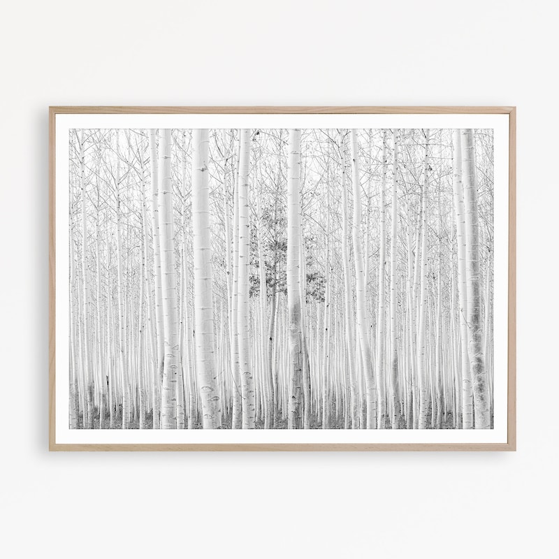 Birch Decor - Etsy