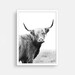 Farmhouse Print Highland Cow Print Farm Poster Rustic Print - Etsy