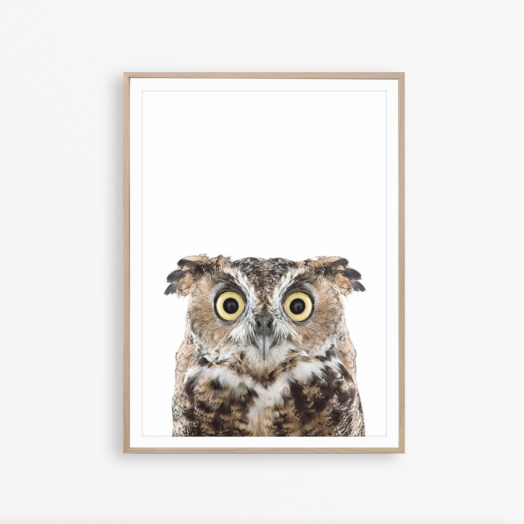 Owl Print Woodland Nursery Print Owl Decor Owl Poster Owl Photo ...