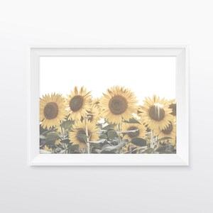 Sunflower Print Farmhouse Printable Botanical Print Sunflower Decor ...