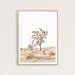 Joshua Tree Print Boho Wall Decor California Desert Print - Etsy