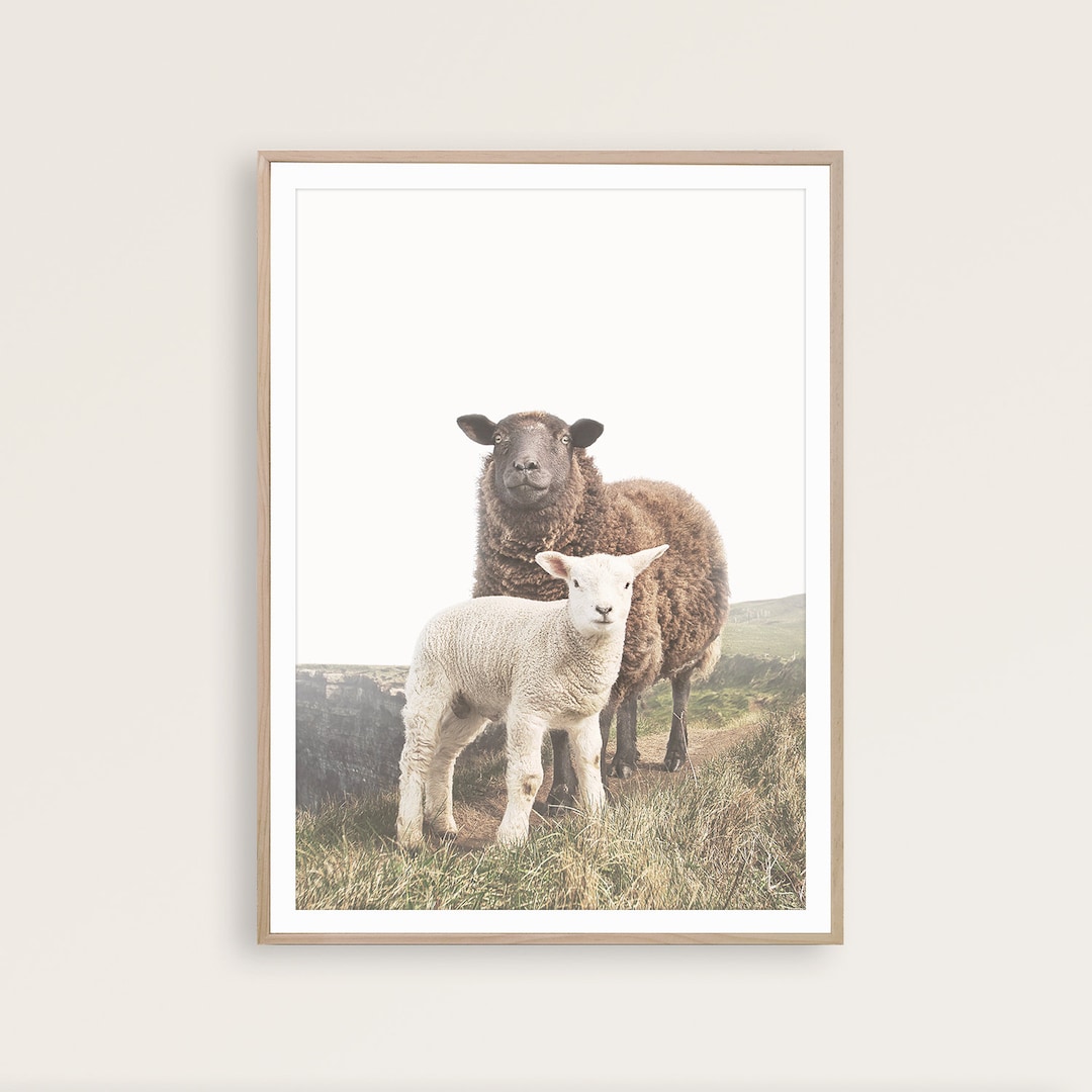 Sheep Art Print Farmhouse Printable Country Wall Decor Rustic Print ...
