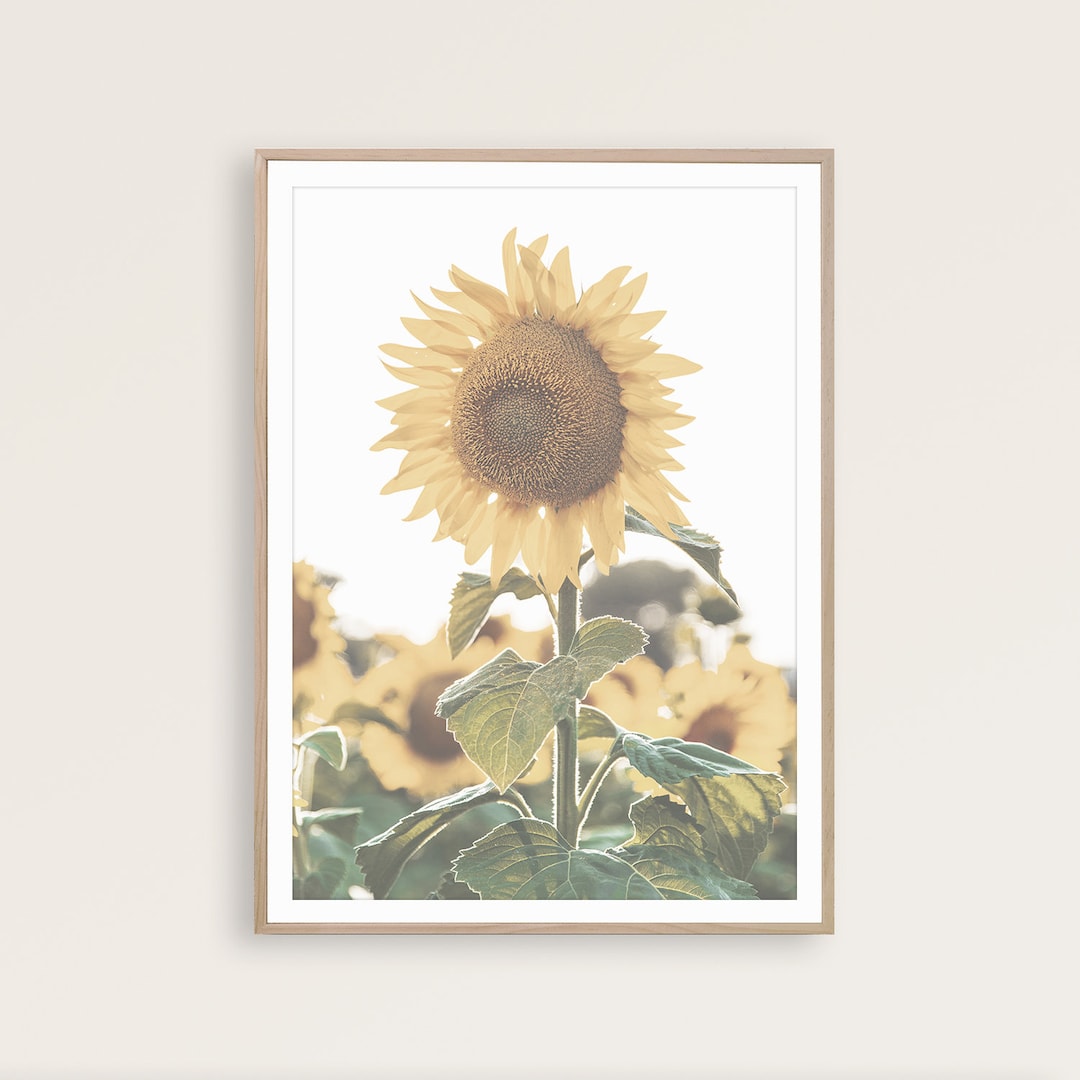 Sunflower Print Farmhouse Kitchen Decor Country Wall Art Farm House ...