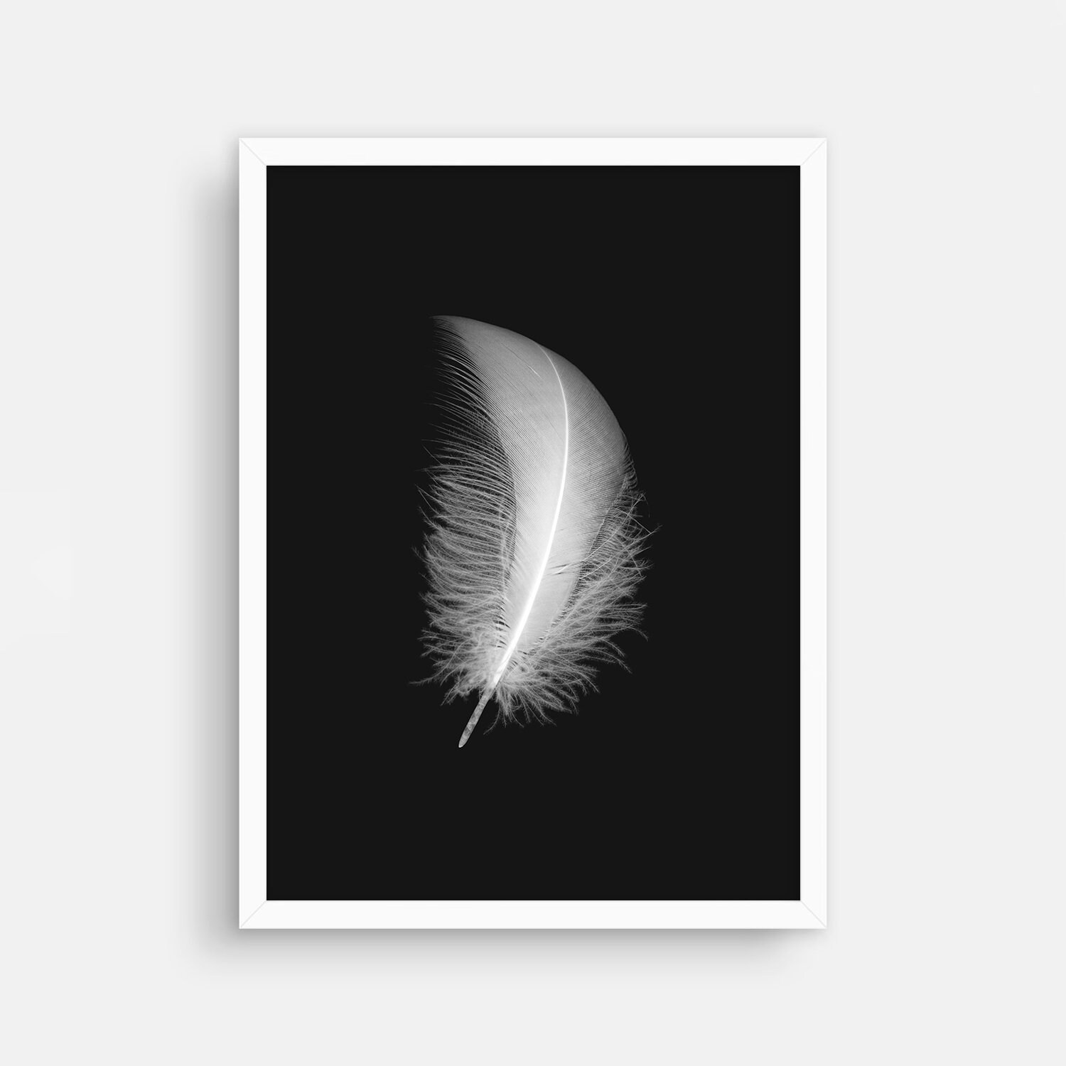 Pluma impresión negro y blanco pared arte minimalista | Etsy