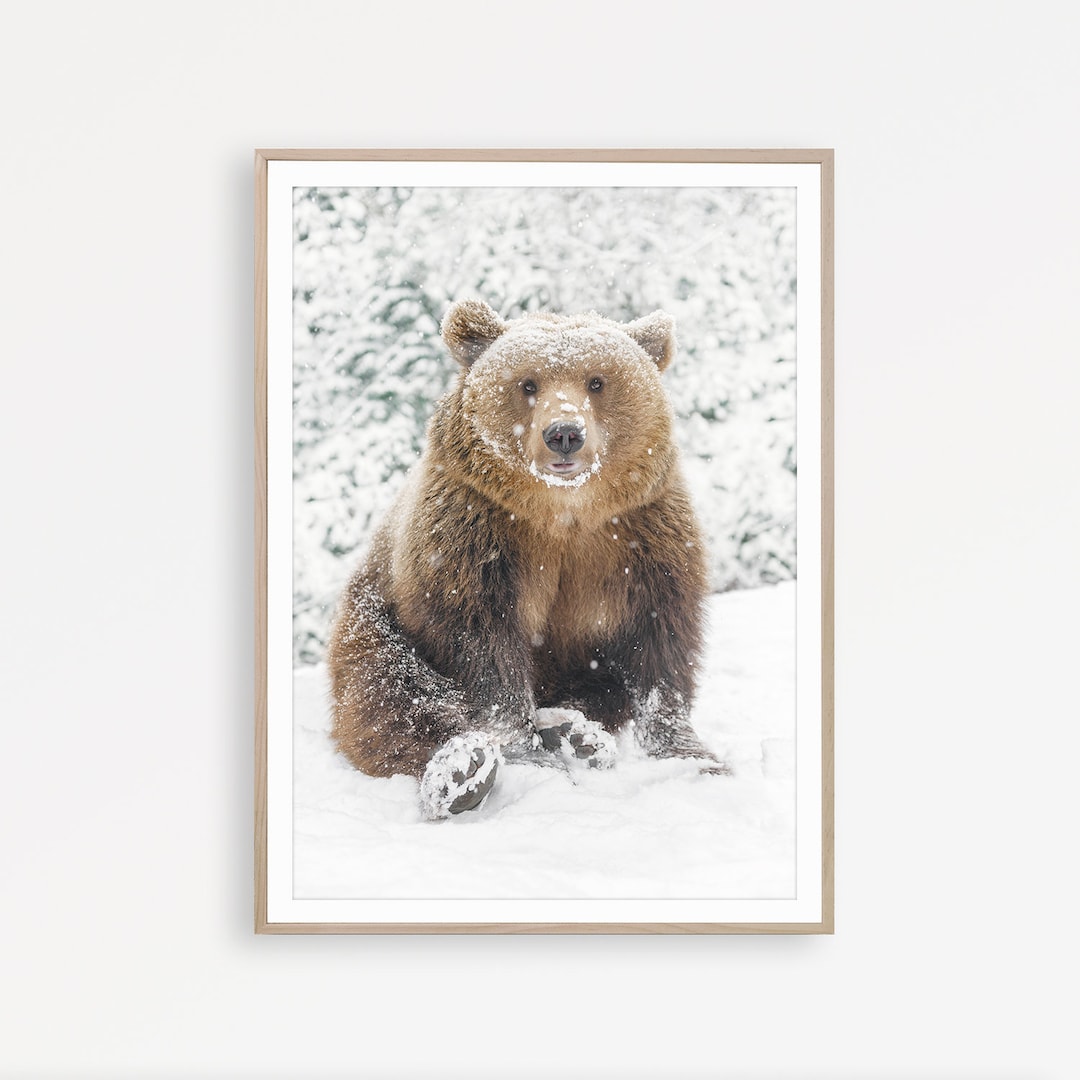 Winter Bear Print: Rustic Forest Animal Photography, Rustic Farmhouse ...