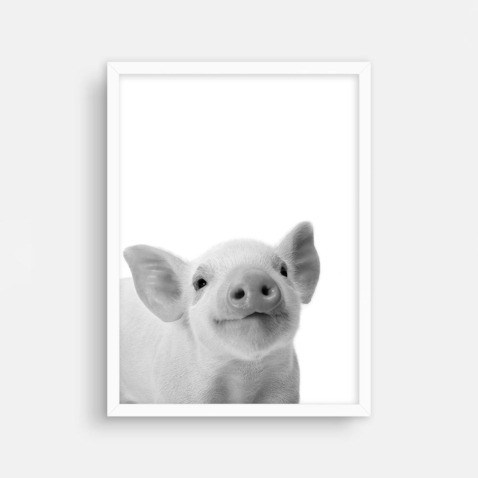 Pig Print Pig Wall Art Farmhouse Decor Piglet Print Baby Pig | Etsy