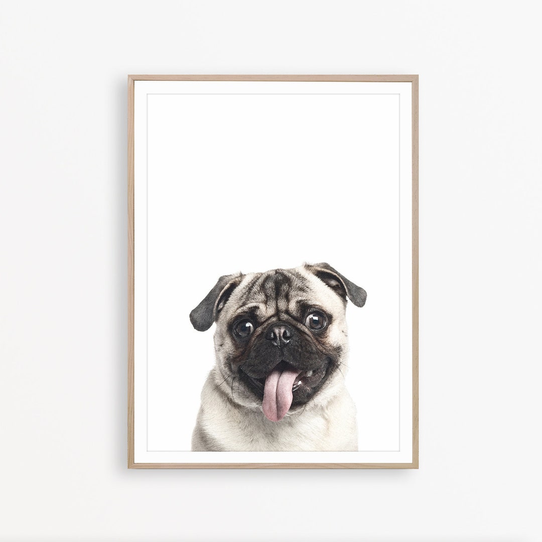 Pug Print Pug Wall Art Pug Picture Pug Art Pug Dog Print Puppy Dog ...