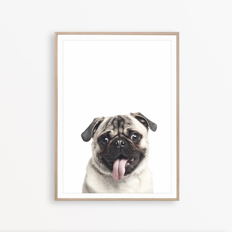 Pug Print Pug Wall Art Pug Picture Pug Art Pug Dog Print Puppy | Etsy