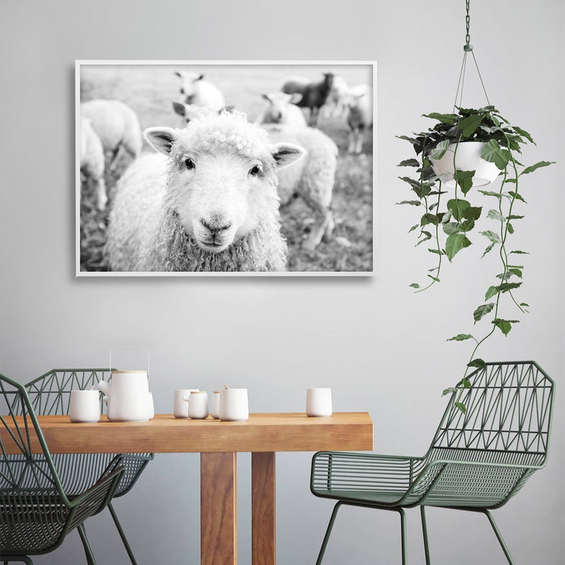 Sheep Wall Art Farmhouse Wall Art Country Print Black & White - Etsy
