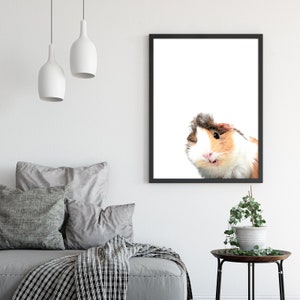 Guinea Pig Print Guinea Pig Wall Decor Cavy Print Guinea Pig Portrait ...