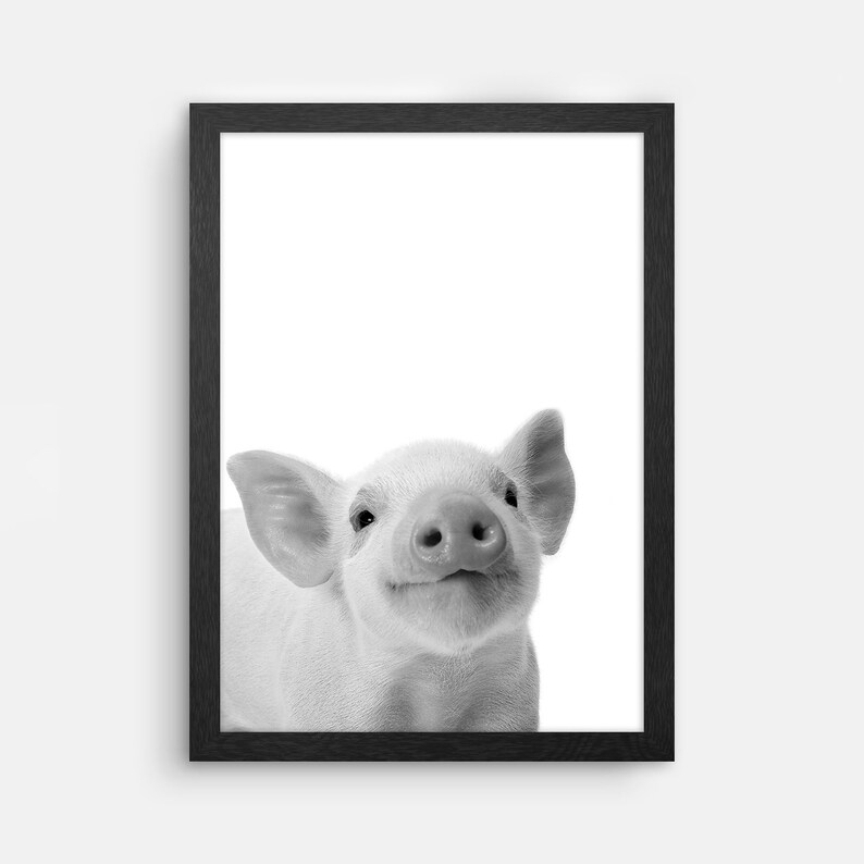 Pig Print Pig Wall Art Farmhouse Decor Piglet Print Baby Pig - Etsy