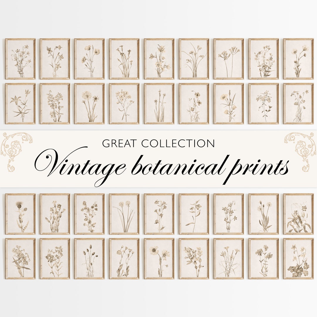 Vintage Botanical Prints Gallery Wall Set Vintage Prints Floral Prints ...