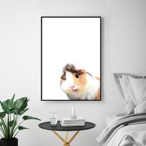 Guinea Pig Print Guinea Pig Wall Decor Cavy Print Guinea Pig Portrait ...