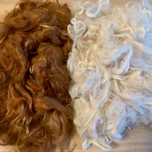 Premium Suri Alpaca Fleece Sampler Beige and Brown, Washed Wool ...