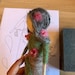 Needle Felted Earth Angel PDF Downloadable Tutorial With Bunny in a ...