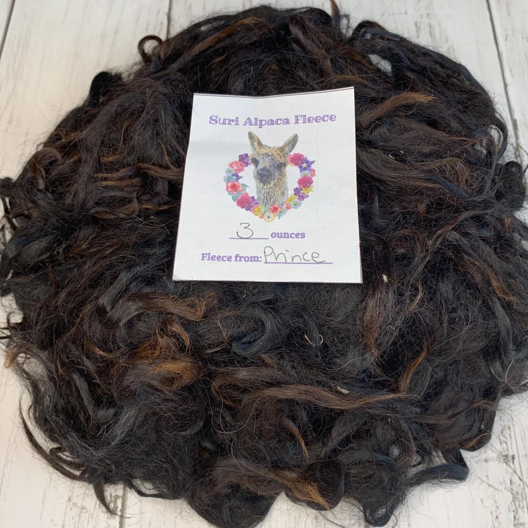 Natural Black Suri Alpaca Fleece, Washed Fleece From Prince for Hand ...