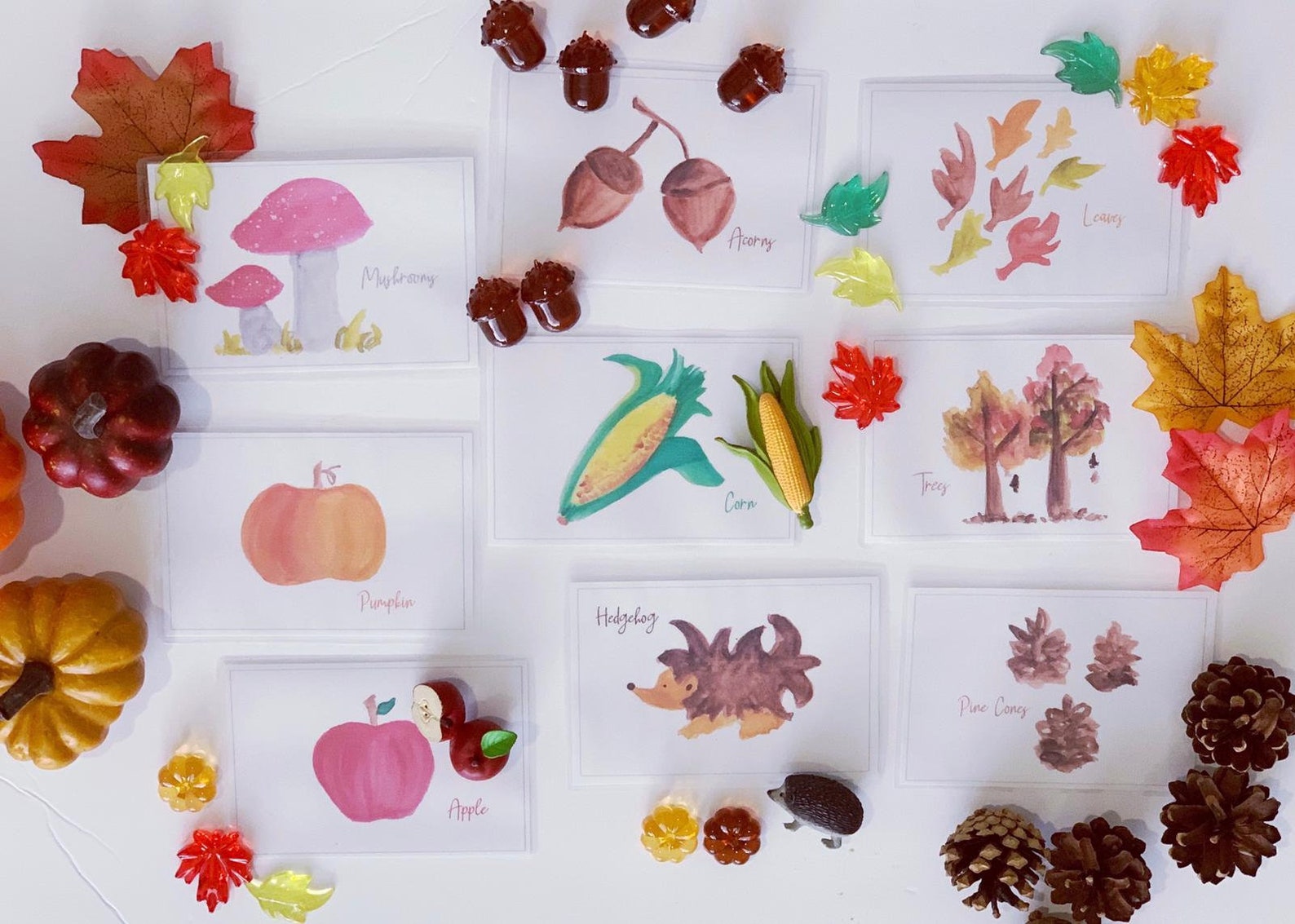 Autumn Fall Flash Cards - Etsy