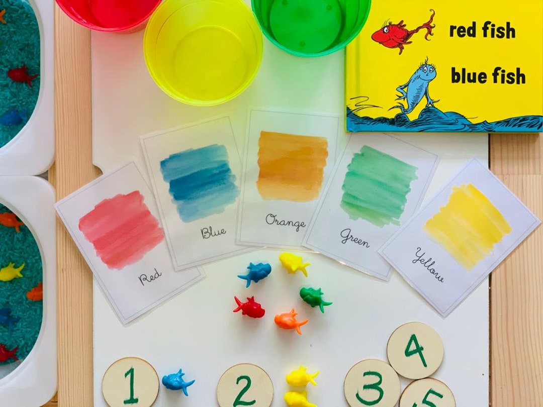 Hand Painted Color Flashcards. - Etsy