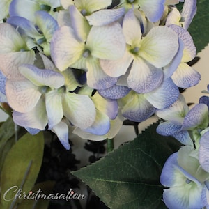 Indigo Green Hydrangea Cream Peony Baby's Breath Eucalyptus Floral ...