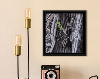 Tree Root Wall Art - Etsy