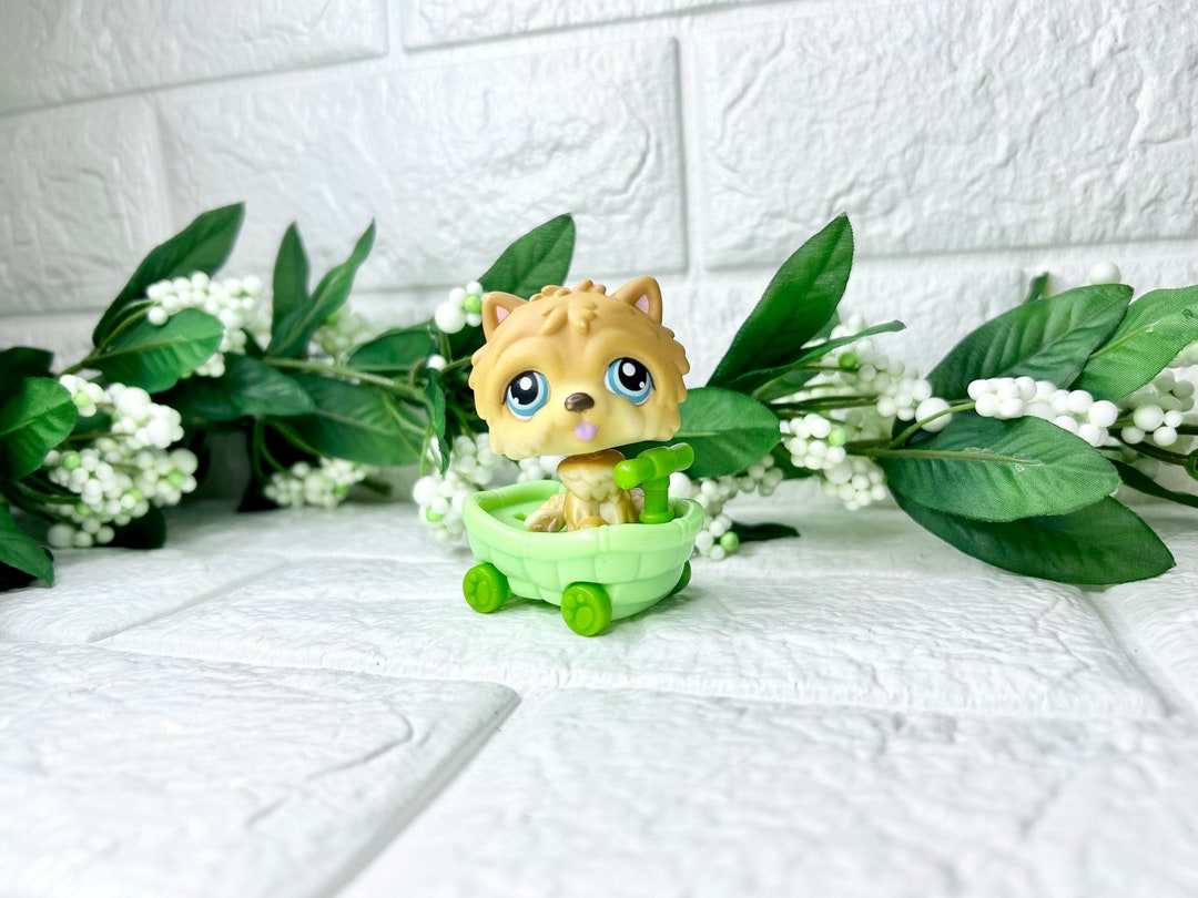 LPS Chow Chow Dog 117 - Etsy