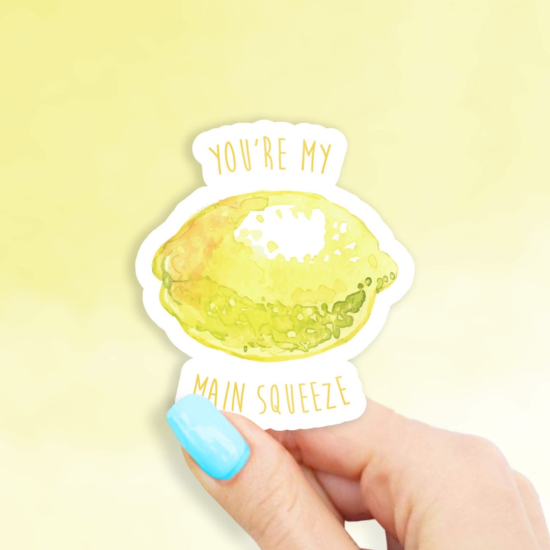 You're My Main Squeeze Sticker MacBook Stickers Laptop Stickers ...