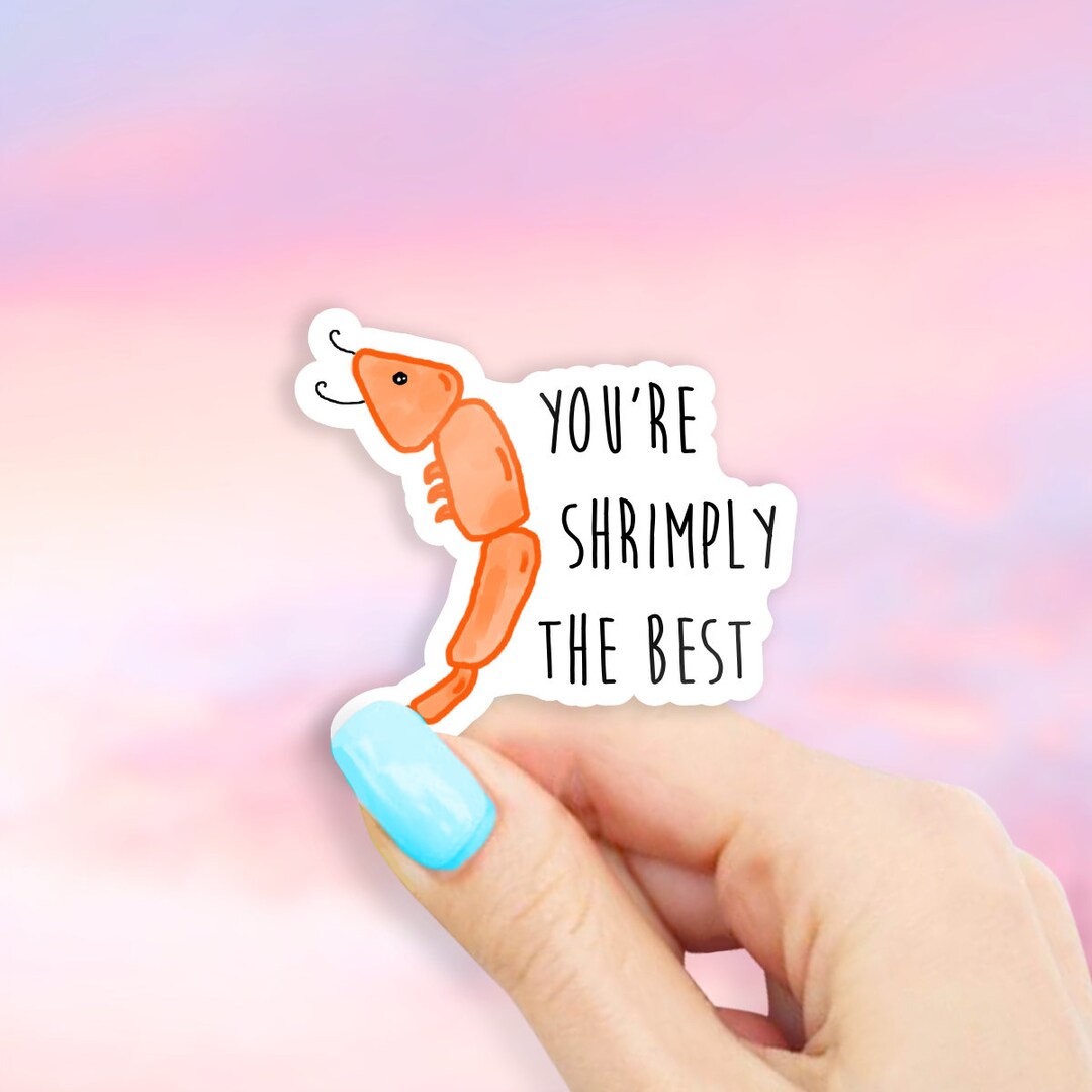Shrimply the Vinyl Sticker – Laptop Decal, Water Bottle Decoration - Etsy