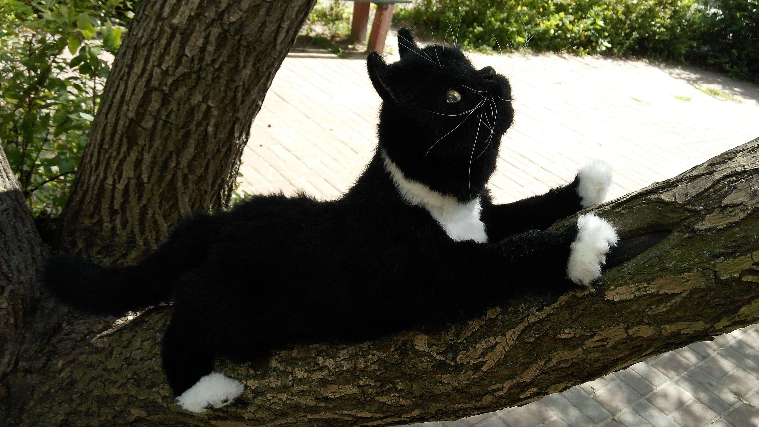 Realistic Toy Life-size Cat Sam, Collectible Stuffed Baptism Gift ...