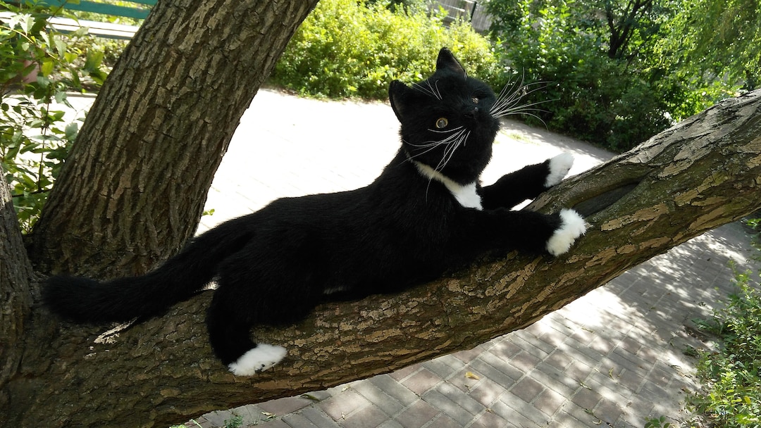 Realistic Toy Life-size Cat Sam, Collectible Stuffed Baptism Gift ...