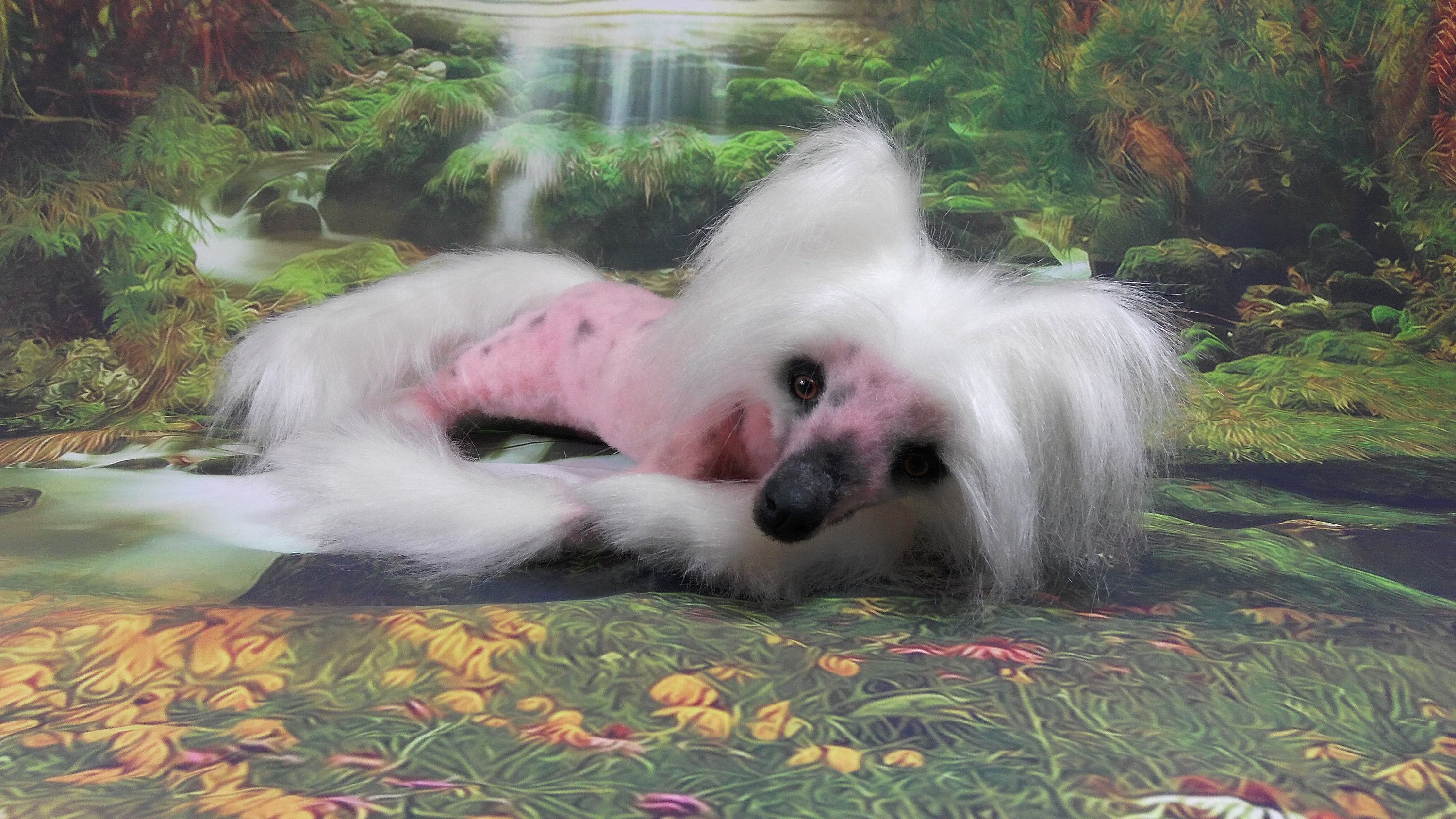 Realistic Animal Adele Chinese Crested Dog, Collectible Toy Dog ...