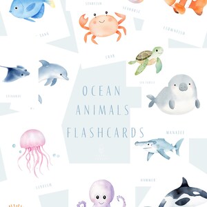 Ocean Animals Flashcards - Educational Printable Cards for Kids ...